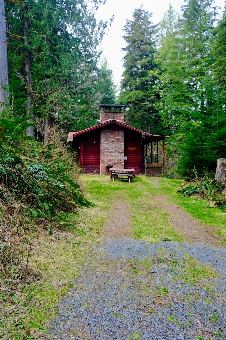 Cedar At Rainier Lodge (0.4 Mi From Mt Rainier) - Ashford, WA