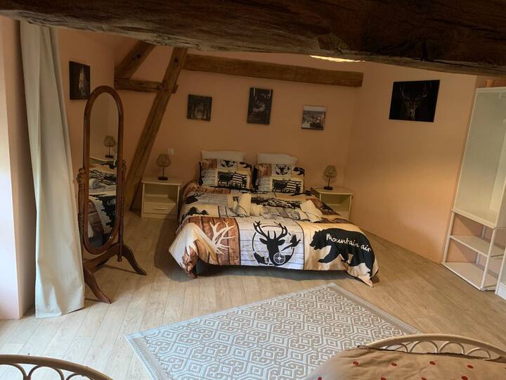 Chambre Forêt (2 Adul., 2 Enfants Moins De 13 Ans) - Aubigny-sur-Nère