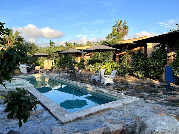 Blue Turtle Casa Kempii, 1 Of 3 Identical Casitas - Todos Santos