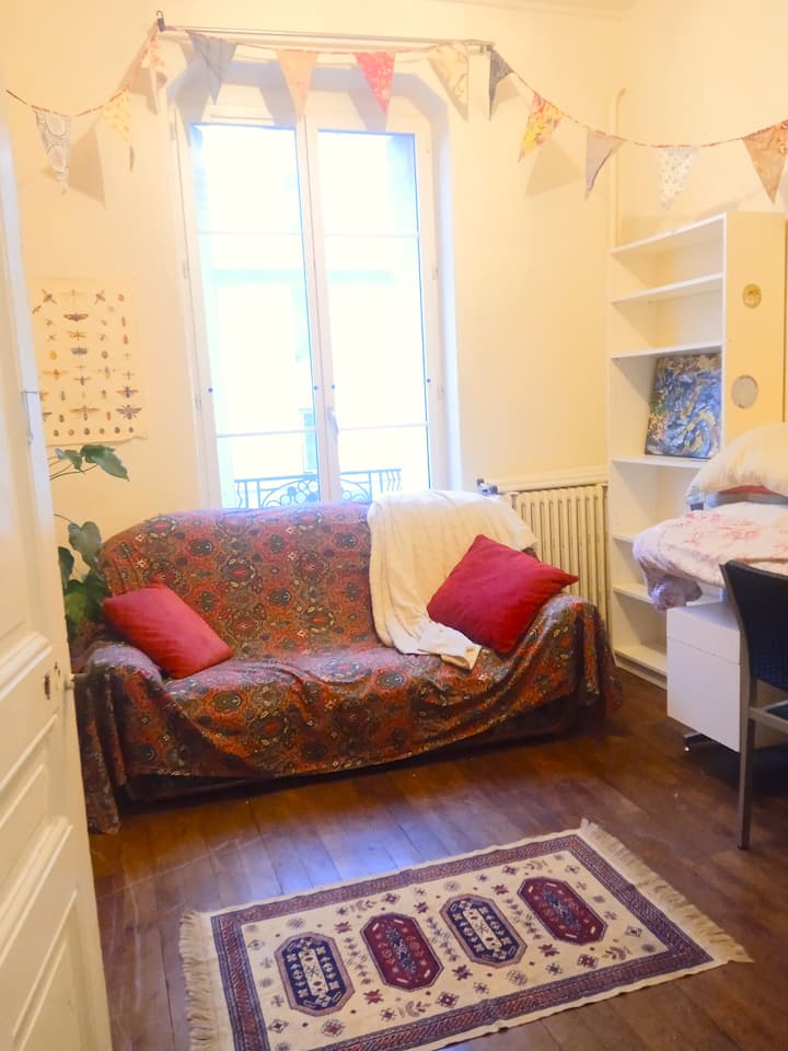 Appartement Ancien à Gerland - Lyon