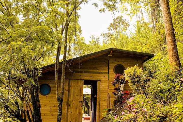 Cabaña Bosque , Hace Parte De Cabañas Monte Cedro - Amaga