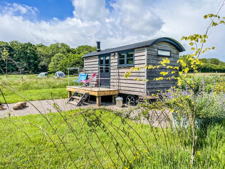 Quiet Shepherd’s Hut – Cosy Ensuite Nature Retreat - Morpeth