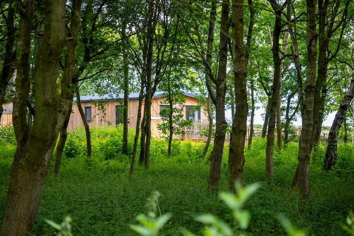 Quiet And Cosy Woodland Lodge - Relax & Unplug - Northumberland