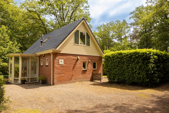 "De Morgenster", Ervaar Vakantiegevoel In Het Bos. - Assen