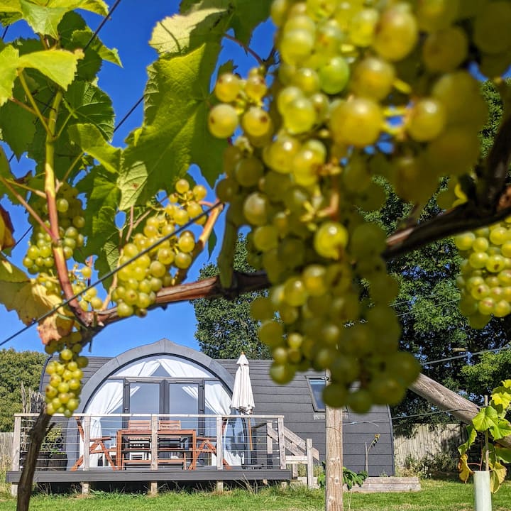 Solaris: Relaxing Vineyard Retreat - Derbyshire