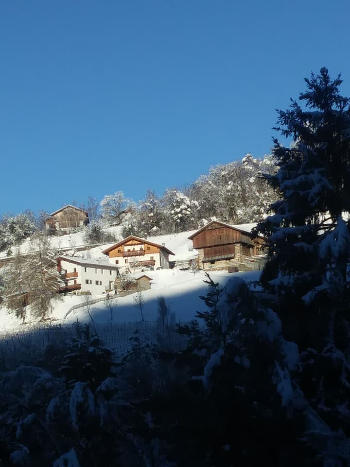Kraft Tanken In Unseren Bergen! Oberpatiglhof - Tiers