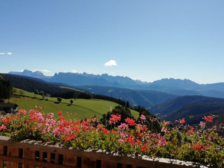 Bergfrische- Dolomitenblick - Alpe di Siusi