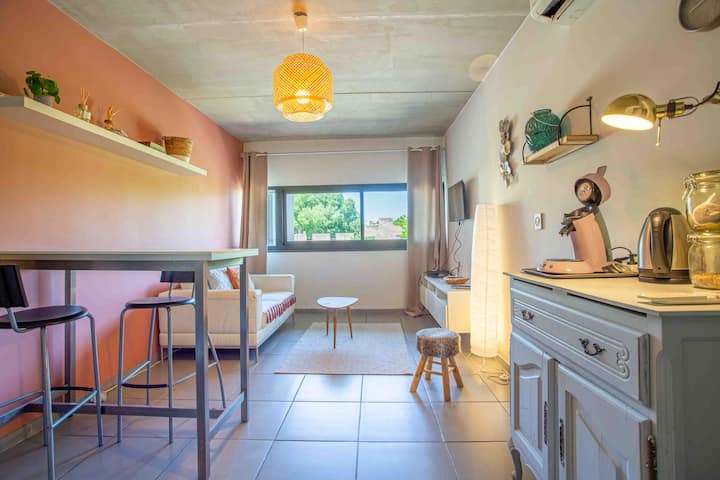 Le Saint Roch 1 - Clim Et 1 Min Gare Centre - Avignon