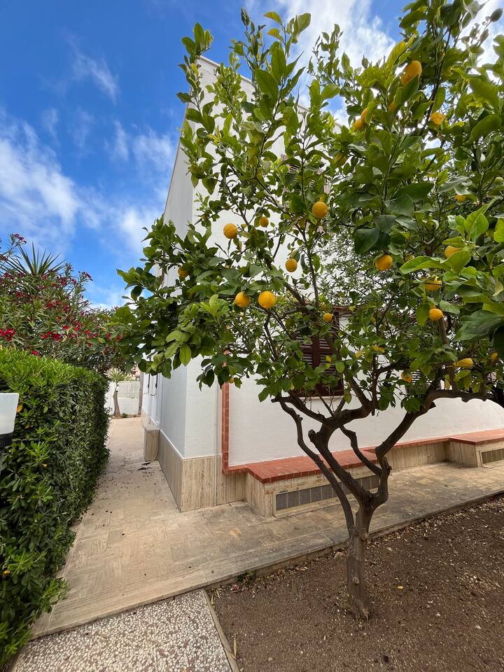 Villa 2m Con Giardino A 50 Metri Dal Mare - San Vito Lo Capo