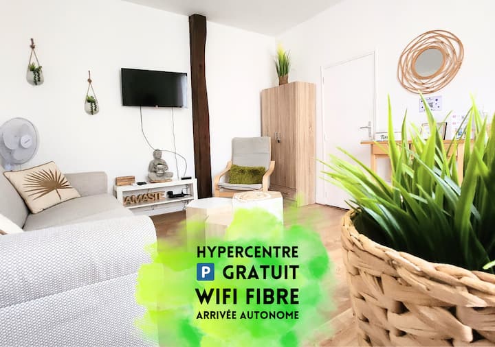 'Bambou Zen' - T2 • 5 Couchages - Vieux Tours - Tours