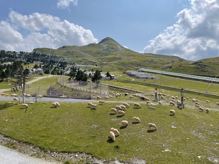 Cœur De Station - Gr 10 - Randonnées- Plein Sud - La Pierre Saint Martin