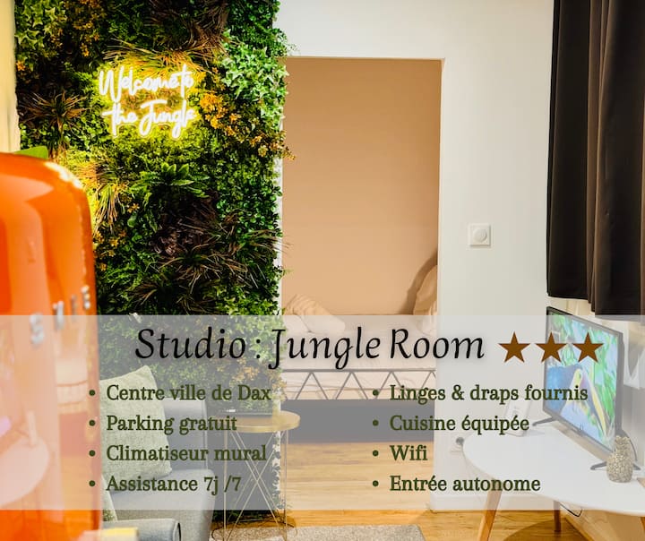 Jungle Room, Centre Ville Dax - Dax