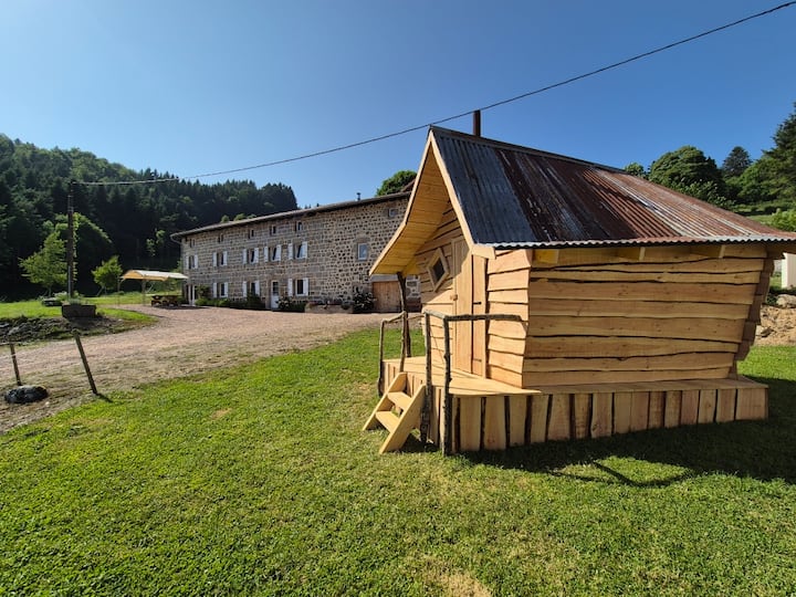 Gîte De Groupe Nature En Auvergne + Salle De 100m² - Ambert