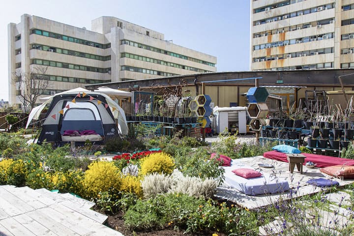 The Entire Camping Site On Muslala's Rooftop - Jérusalem