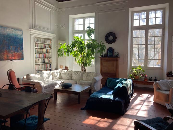 Hotel Particulier Des Deux Lions - Saint-Cannat