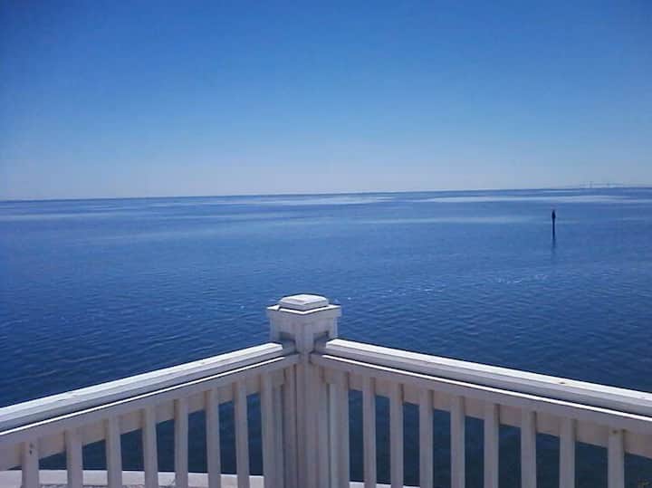 Stunning Panoramic Water View! - Saint Petersburg, FL