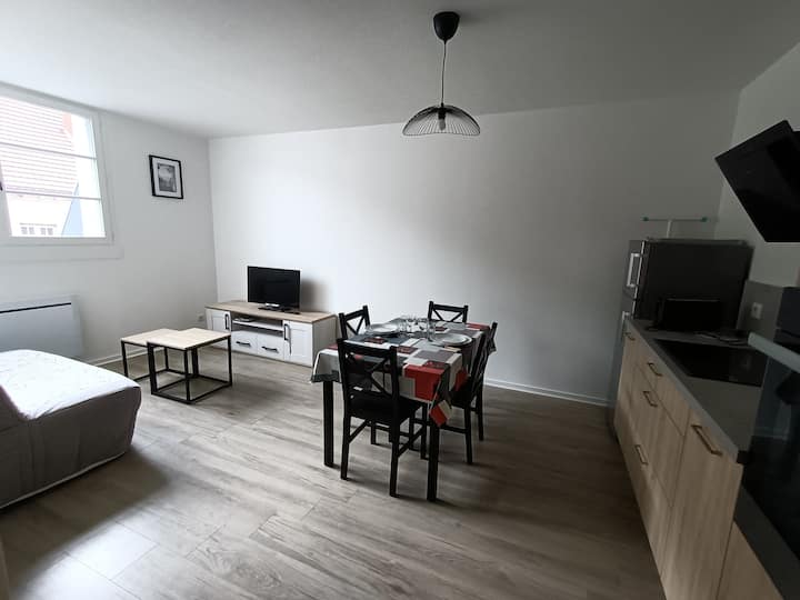 Bel Appartement Proche Des Thermes Et Du Casino - Salins-les-Bains