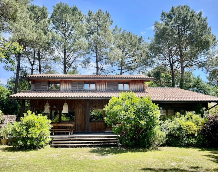 Maison En Bois Typique Du Bassin - Lège-Cap-Ferret