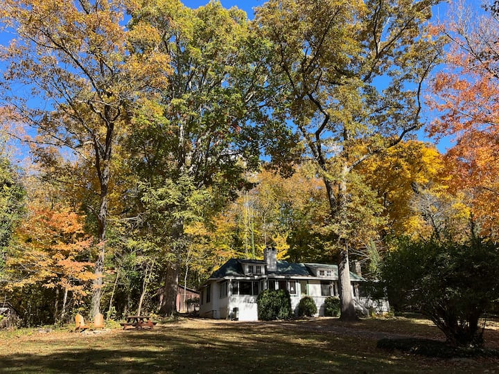 Rustic Royce Lodge - Dog Friendly / Fenced Yard - Weaverville, NC