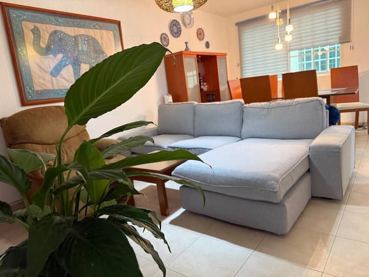 Your Home Away Home At Roma Neighborhood - Mexico City