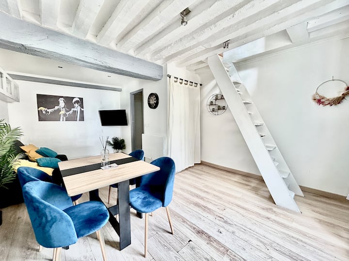 Duplex Centre Historique - オルレアン