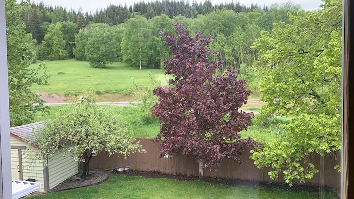 Prince George Vacation Rentals & Homes - British Columbia, Canada | Airbnb