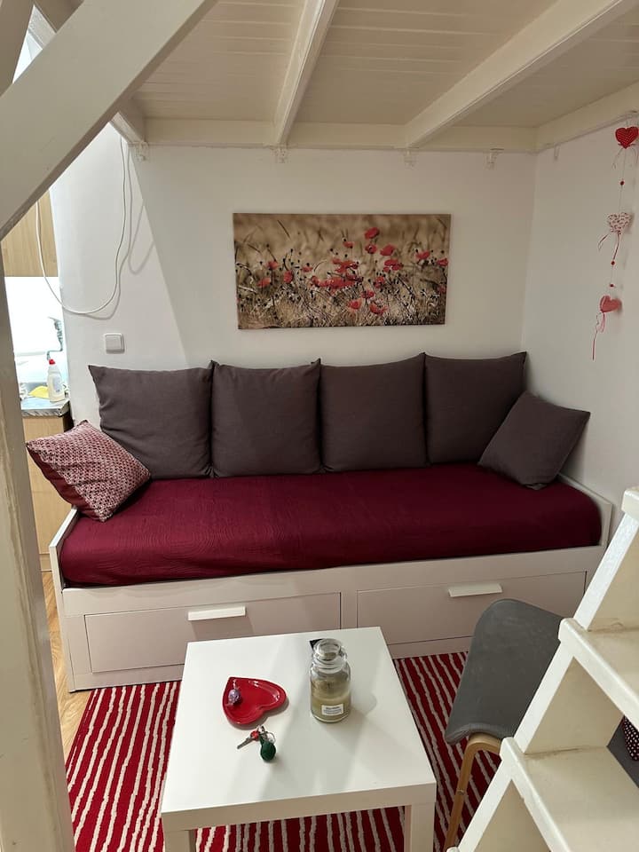Small Apartment Under The Castle - Brno