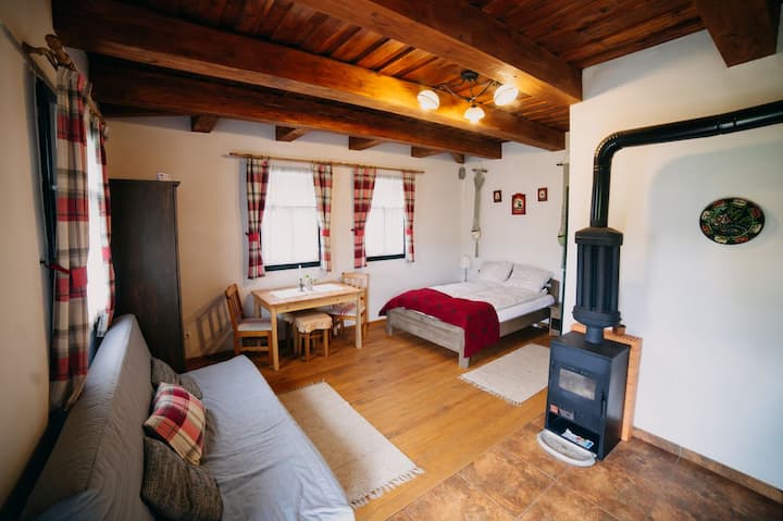 Room 1 In Arboretum Guesthouse - Roumanie