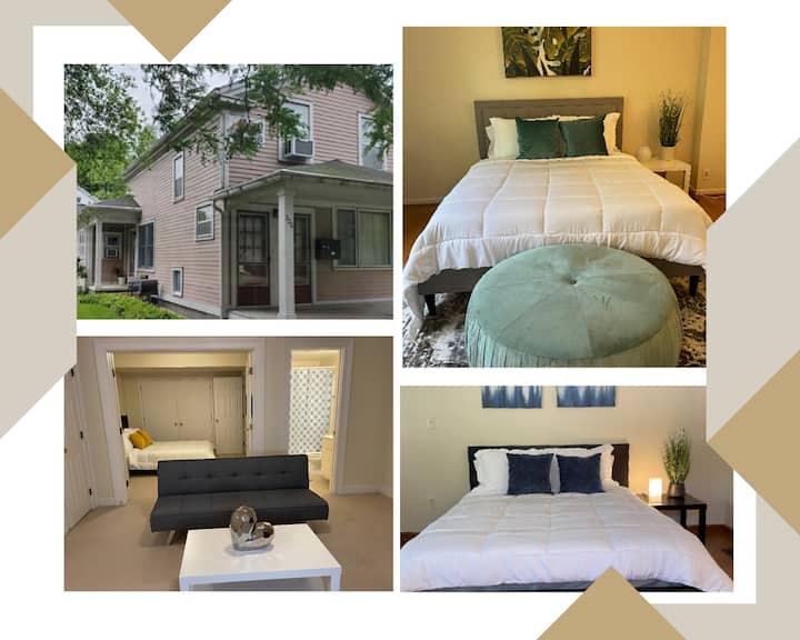 ✨Entire Rental Unit | Close To Downtown Ypsi✨ - Ypsilanti, MI