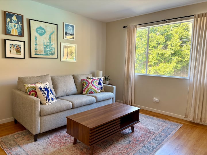 Free Parking! Sunny, Bright 1-bedroom In Castro - サンフランシスコ