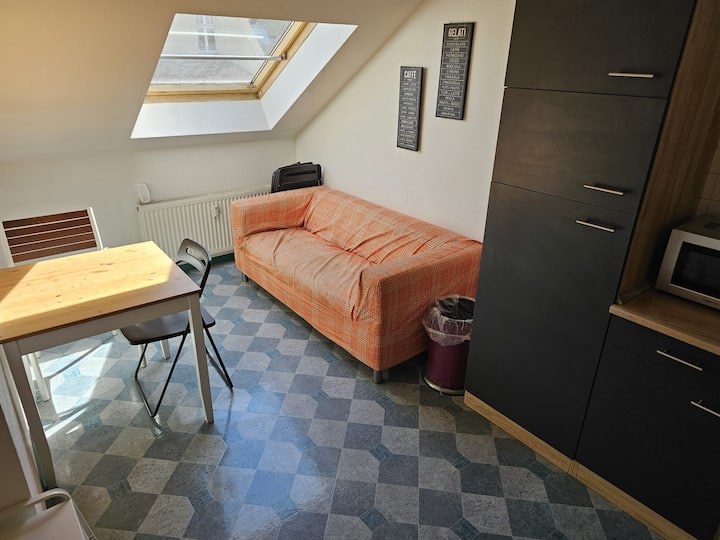 L Helle Große Dachgeschosswhg. Im Leipziger Westen - Leipzig