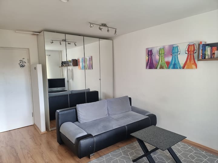 Zentral Gelegene, Helle 2-zimmer-whg Mit Balkon - Tübingen