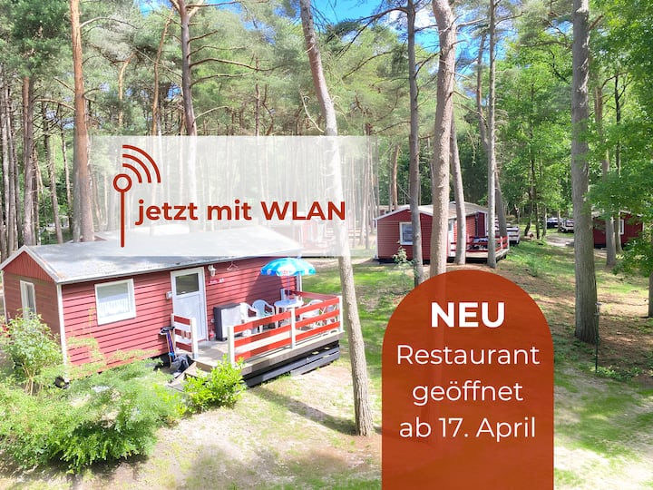 Bungalow Silberreiher 54 - Dranske