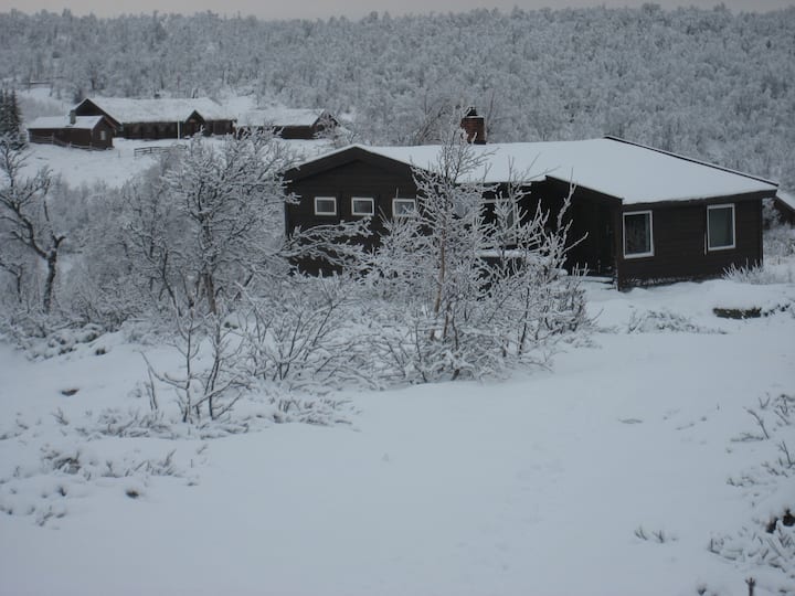 Dronninghytta: Flott Turterreng Bra Fiske. - Geilo