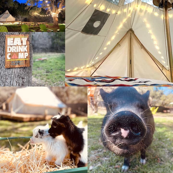 4 Yurt Hill Country Microfarm - Wimberley, TX