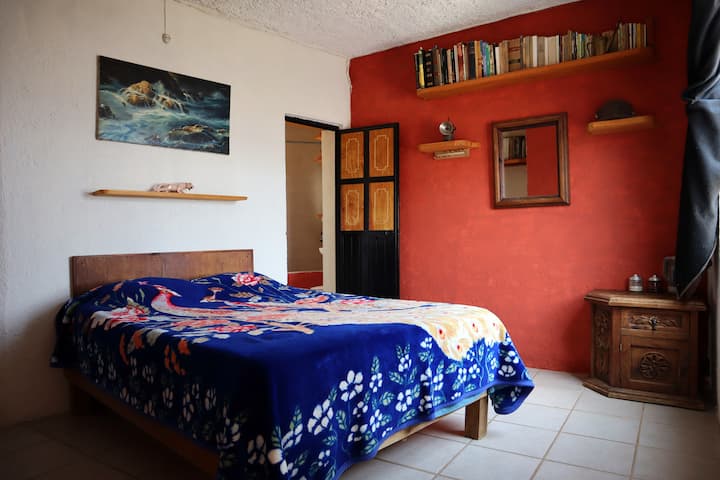 "Los Libros Del Pintor" Vista Panorámica - Guanajuato