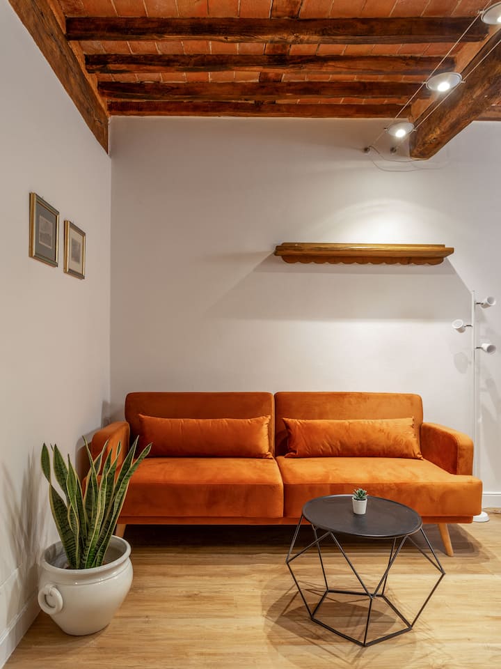 Appartamento Le Giraffe - Pietrasanta Centro - Forte dei Marmi