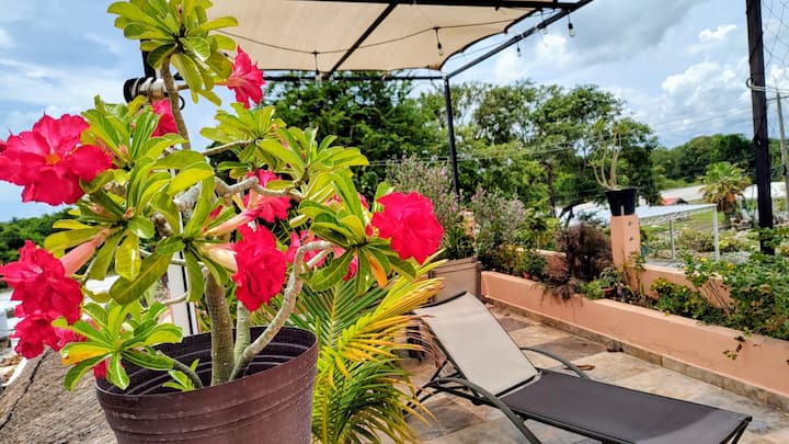 Precioso,  A Dos Manzanas De La 5ta Av. Y Del Mar - Playa del Carmen