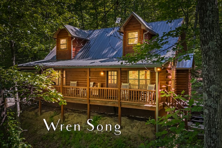 Hot Tub, Foosball, King Beds | Family-friendly - Bryson City, NC