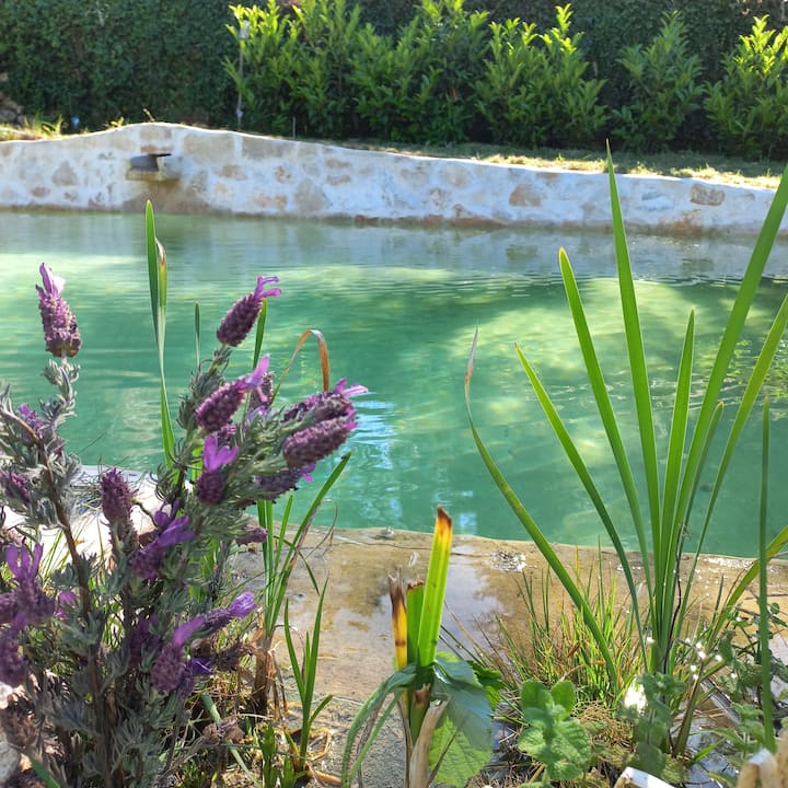 Monreal Pt

Natural Village
Panoramic Pool - Fátima