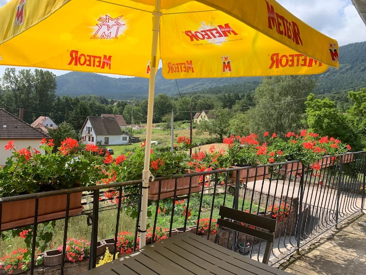 Gîtes Les Floralies "Le Tournesol" - Thannenkirch