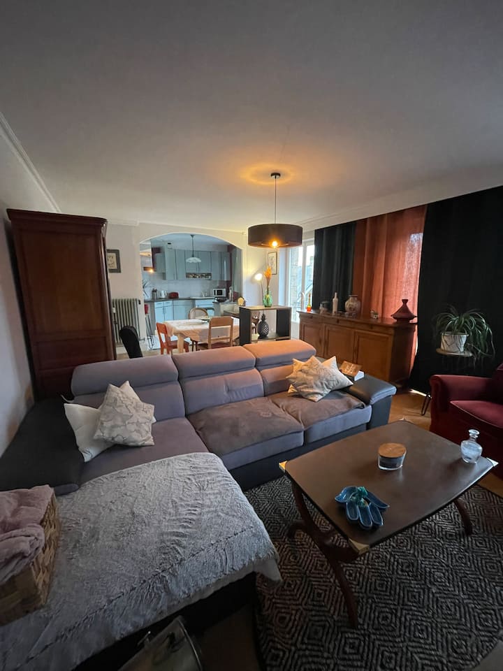Quimper Centre: Beau Et Spacieux Appartement - Quimper