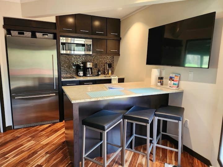 Cozy Renovated 1 Bedroom, 1 Bathroom Condo. New! - Michigan