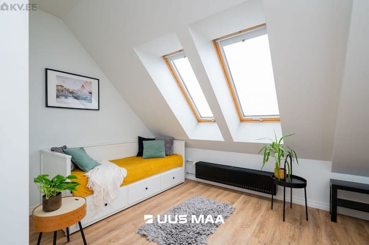 Centrum Penthouse / Gym&terrace - 塔林