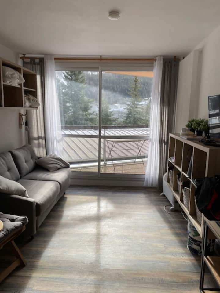 Studio 4 Places Vue Sur Les Pistes - Villard-de-Lans