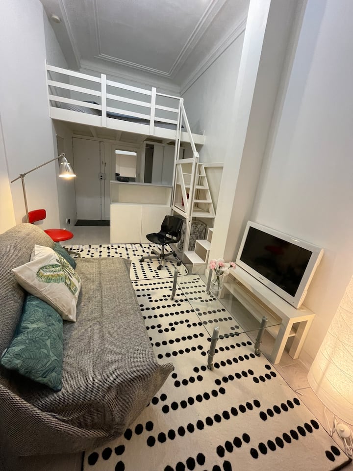 Bel Appartement à 800 Mètres De Notre-dame - Paris