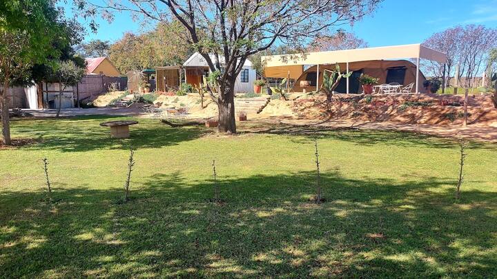 Glamping Tent 1 @ Die Bosvarkie Calitzdorp - Calitzdorp