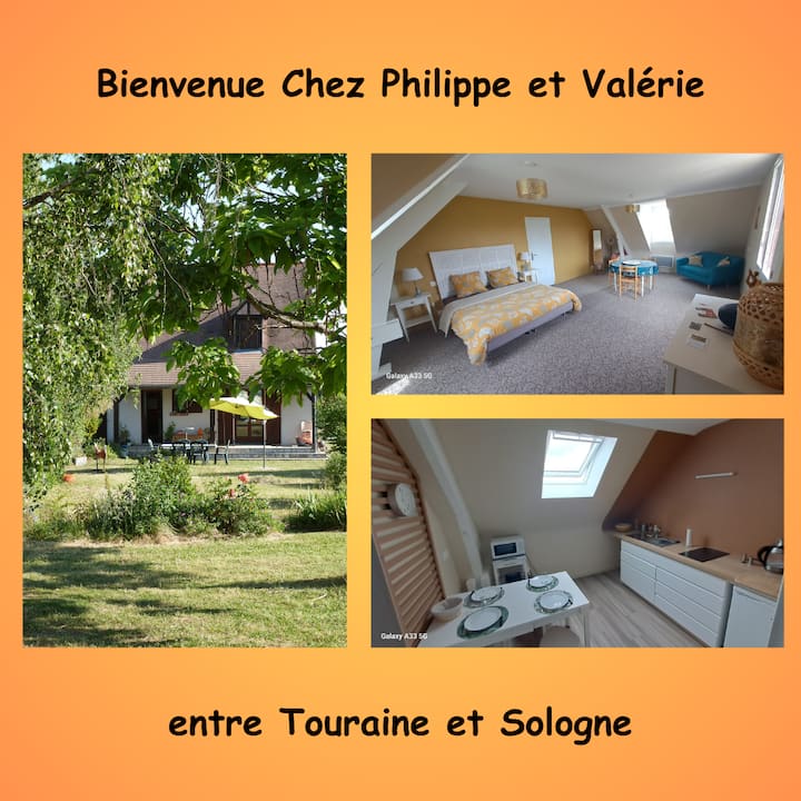 Grande Chambre Proche Zoo Beauval - Chenonceaux