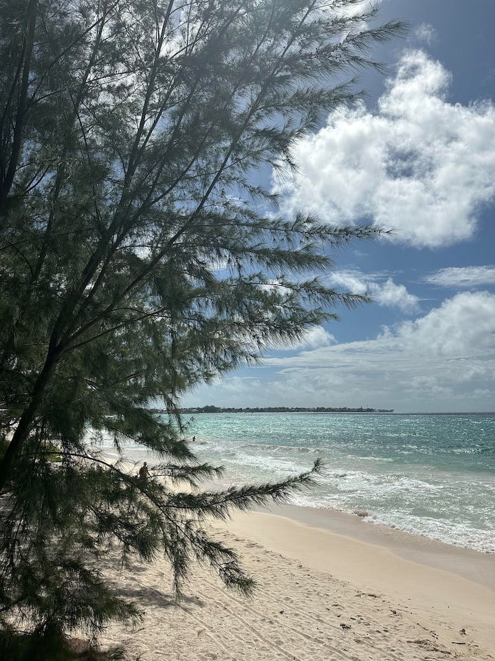 2br 1.5bth Condo W/pool & Jacuzzi & Close To Beach - Barbados