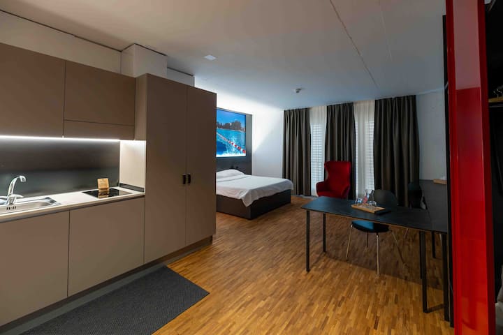 Deluxe Courtyard 1-bedroom Apartment With Terrace - Bern